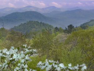 Visit Sky Valley – Georgia's highest and coolest city